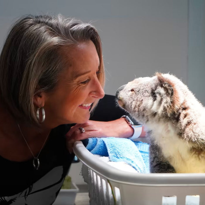 Virtual koala adoption