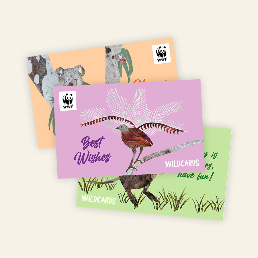 Any Occasion Wildcard | Send a Wildcard That Supports Wildlife
